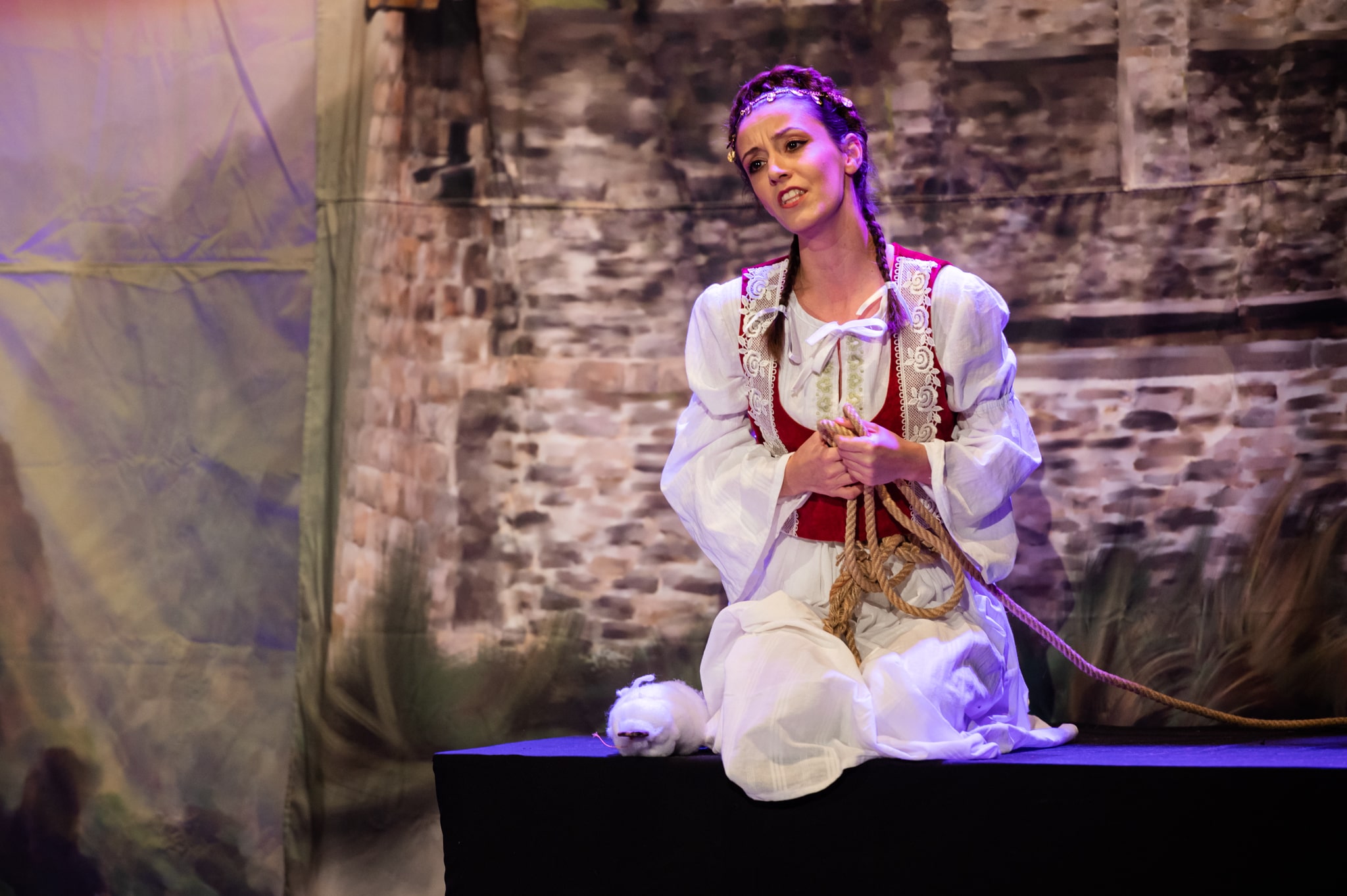 The children's opera „Baš-Čelik (‘Real Steel’)"
